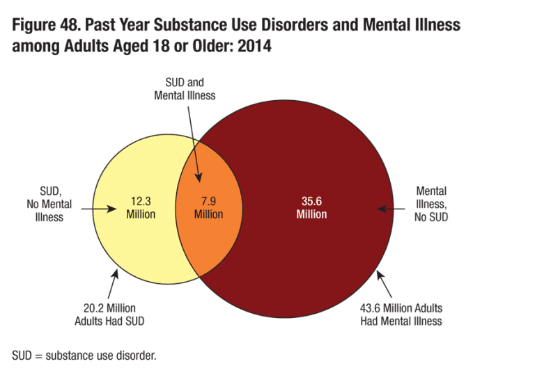 Eclipse Dual Diagnosis Program - Springbrook Behavioral Hospital