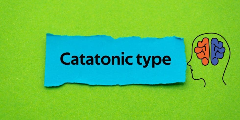 Catatonic Schizophrenia: 5 Signs You Have Catatonia - Best Mental ...