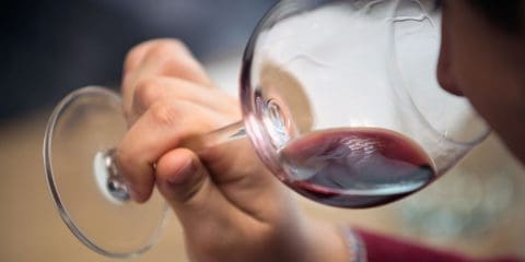 Alcoholic Nose: Symptoms, Causes, and Treatment - Springbrook ...